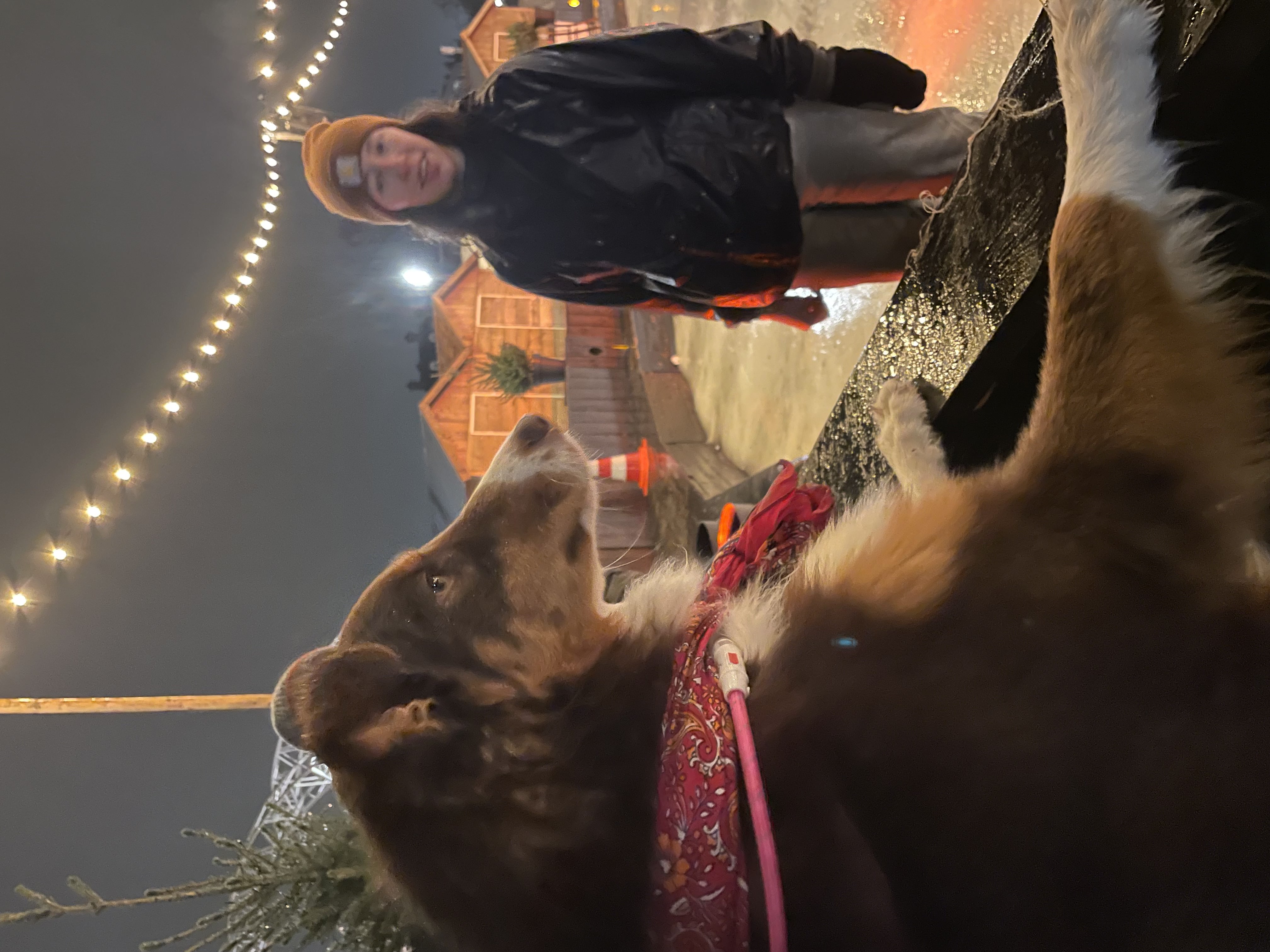 DCA Ice Skating Adventure